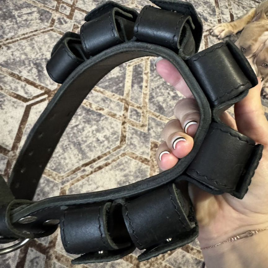 Ошейник с грузами