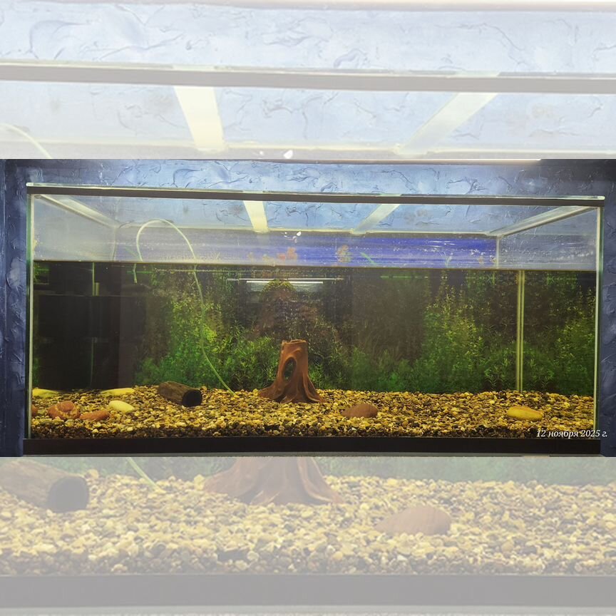 Аквариум 250л