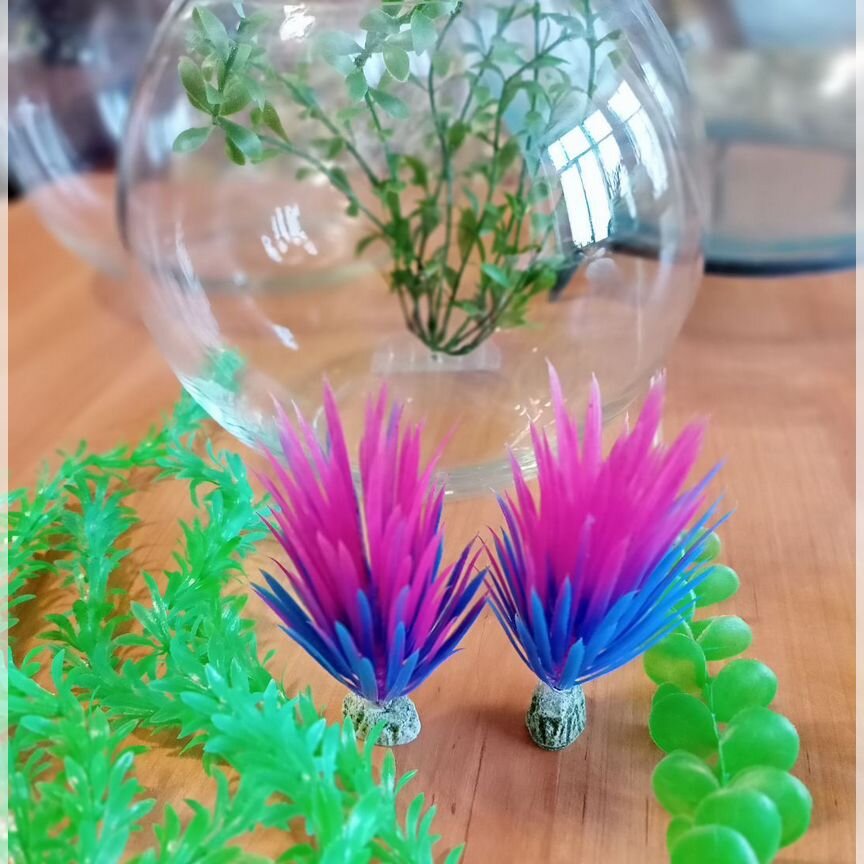 Аксессуары для аквариума