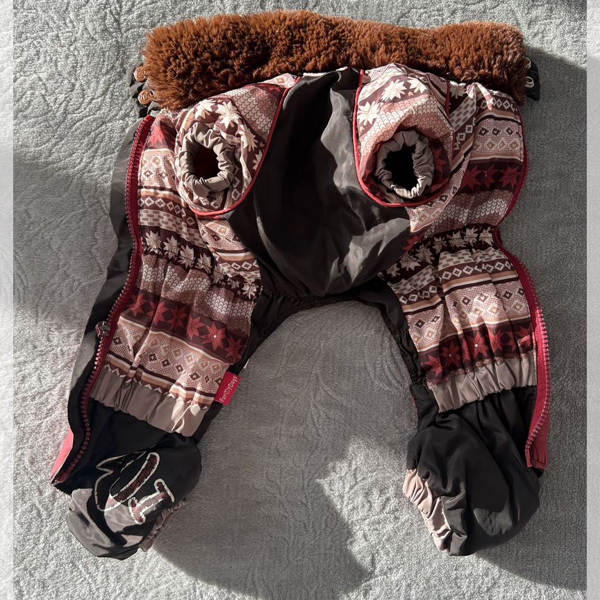 Одежда для собак мелких пород