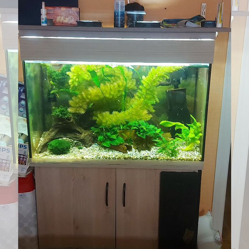 Продам аквариум с тумбой и рыбками