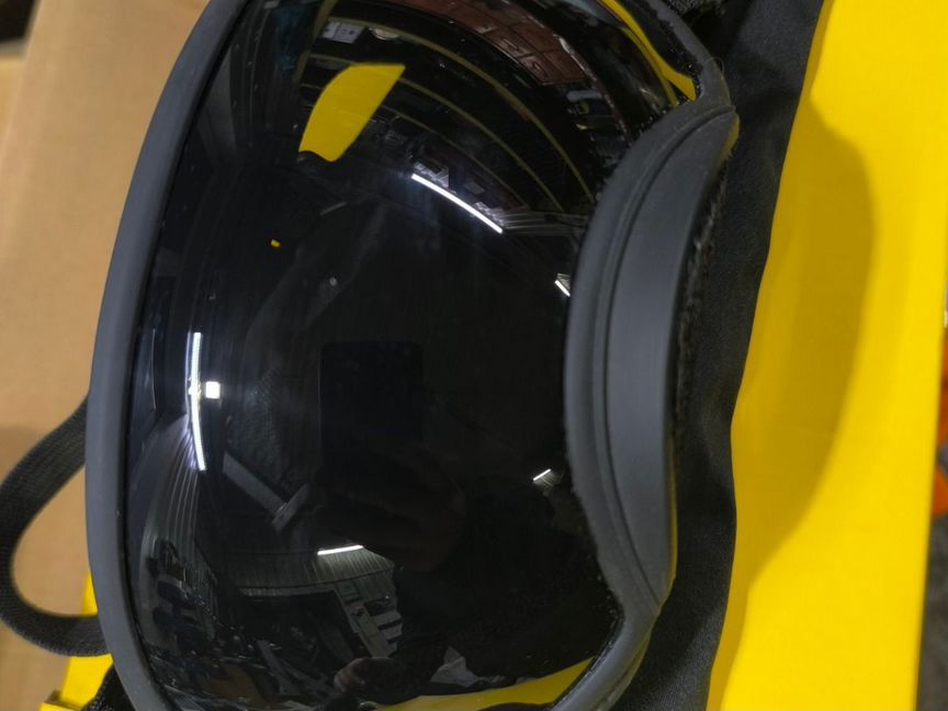 Очки для собак