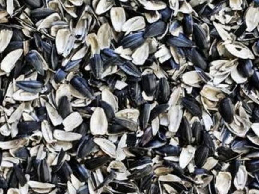 Лузга подсолнечника