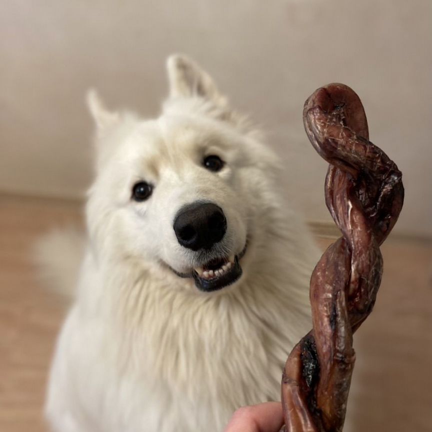 Бычий корень для собак