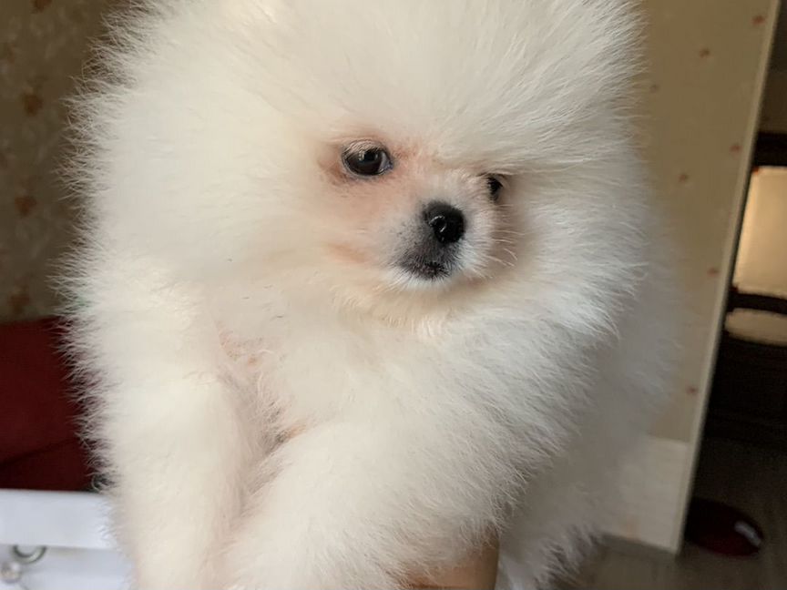 Нереальная красотка