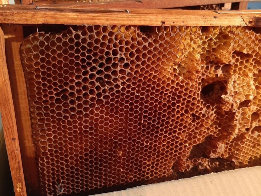 Рамки с вощиной