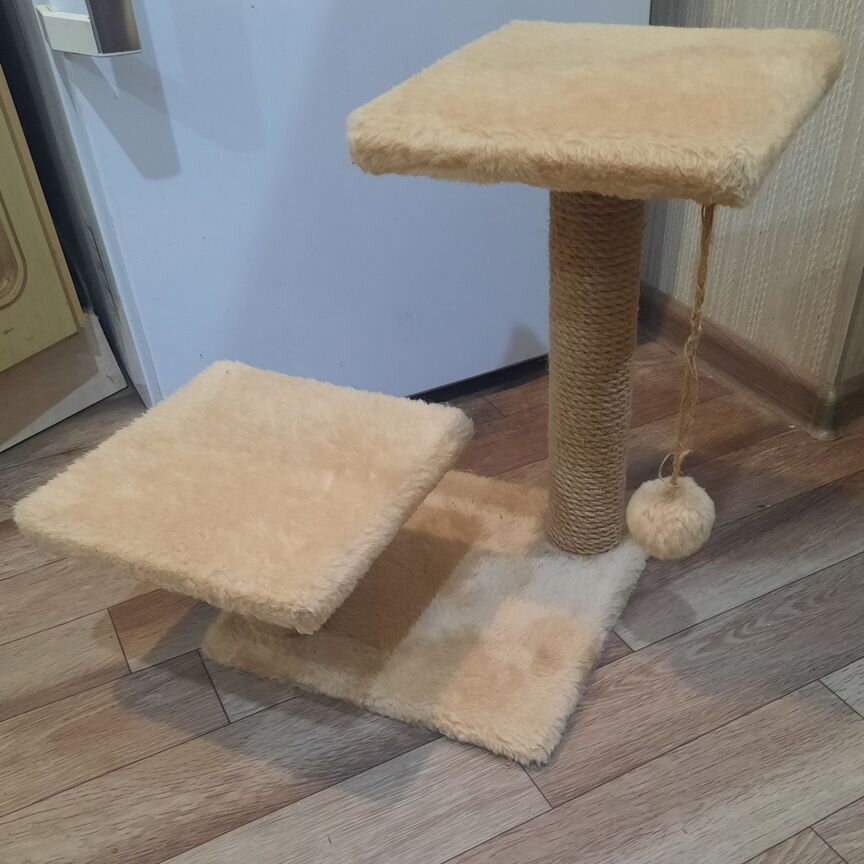 Когтеточка