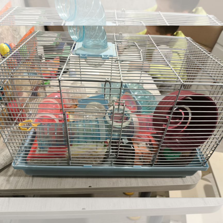 Клетка для грызунов