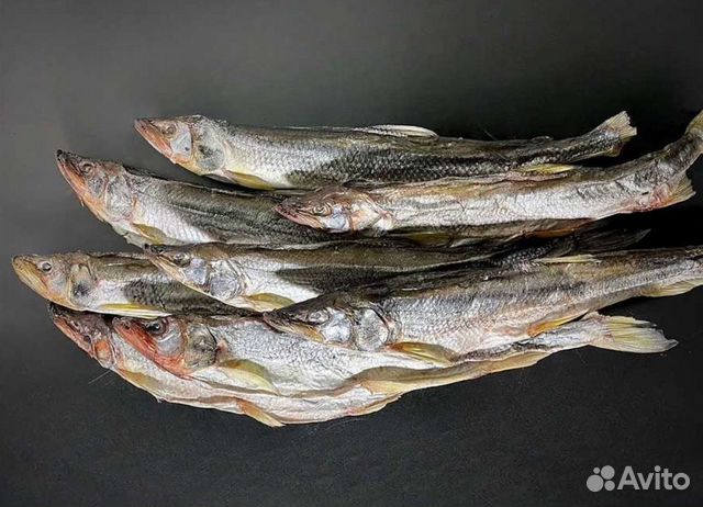 Корюшка вяленая крупная купить в Санкт-Петербурге | Товары для дома и ...
