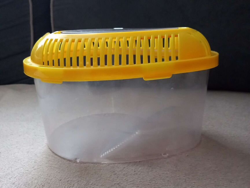 Террариум для черепахи