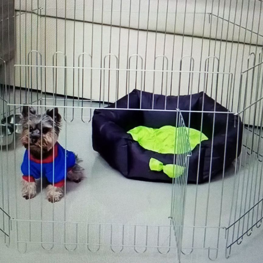 Вольер для собак в квартиру