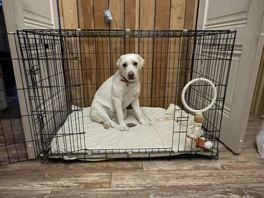 Клетка для крупной собаки