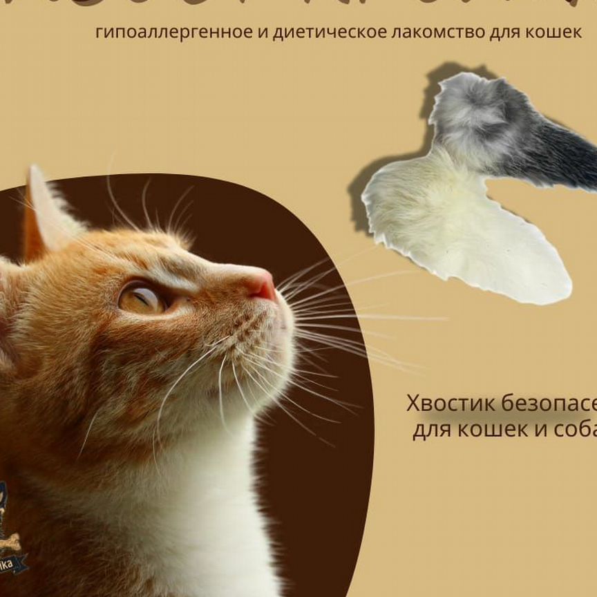 Лакомство для котов хвост кролика