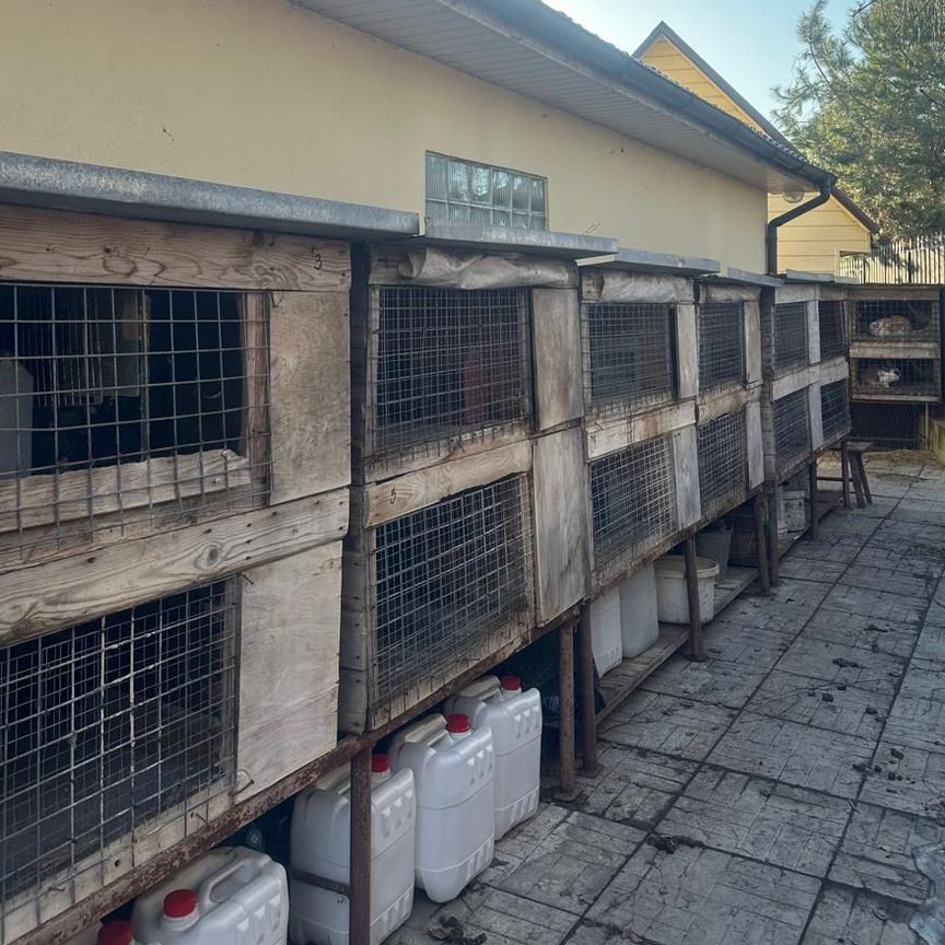 Клетки для кроликов