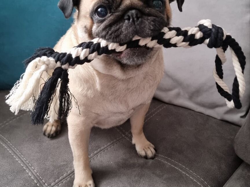 Игрушка для собак "Канатик"