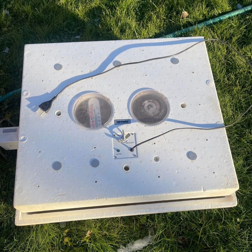 Инкубаторы для яйц