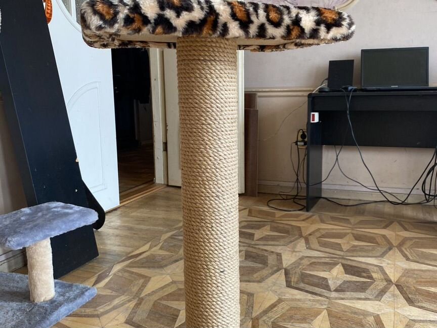 Когтеточка