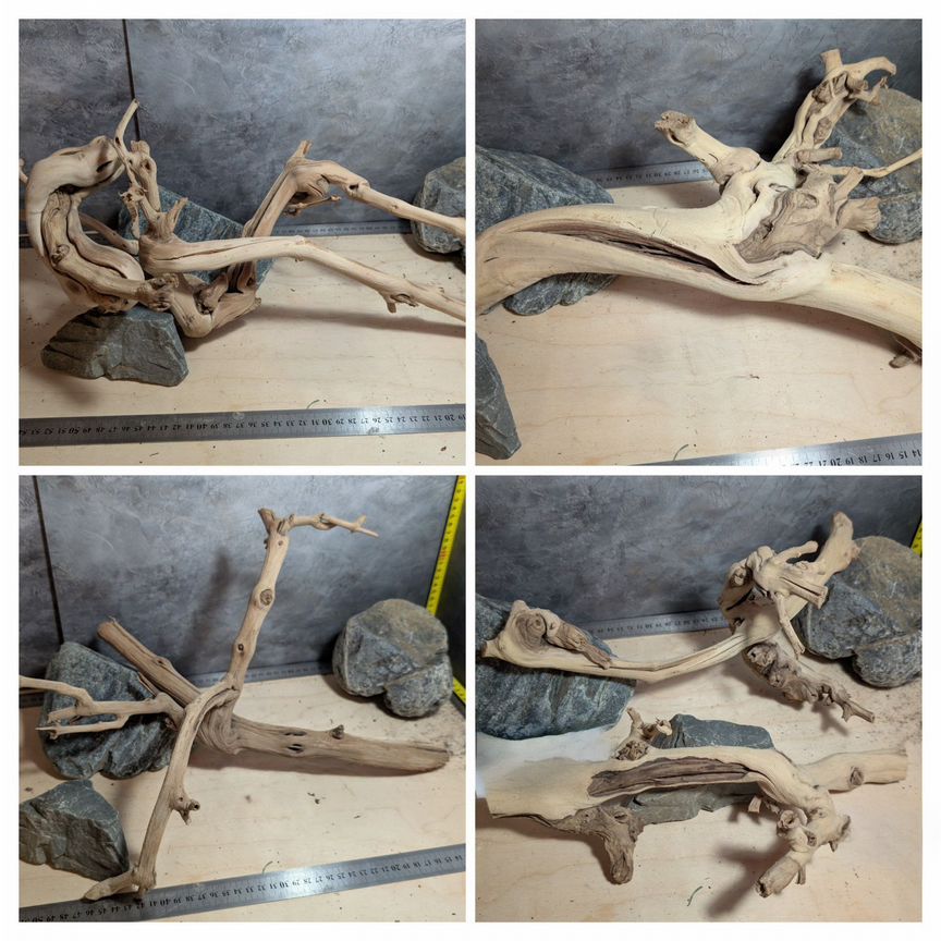 Коряги