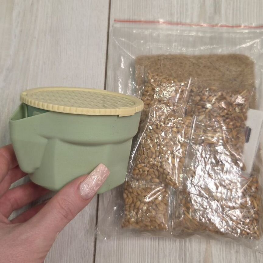 Трава для кошек и собак