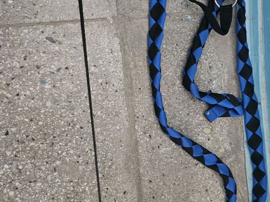 Уздечка и хлыст