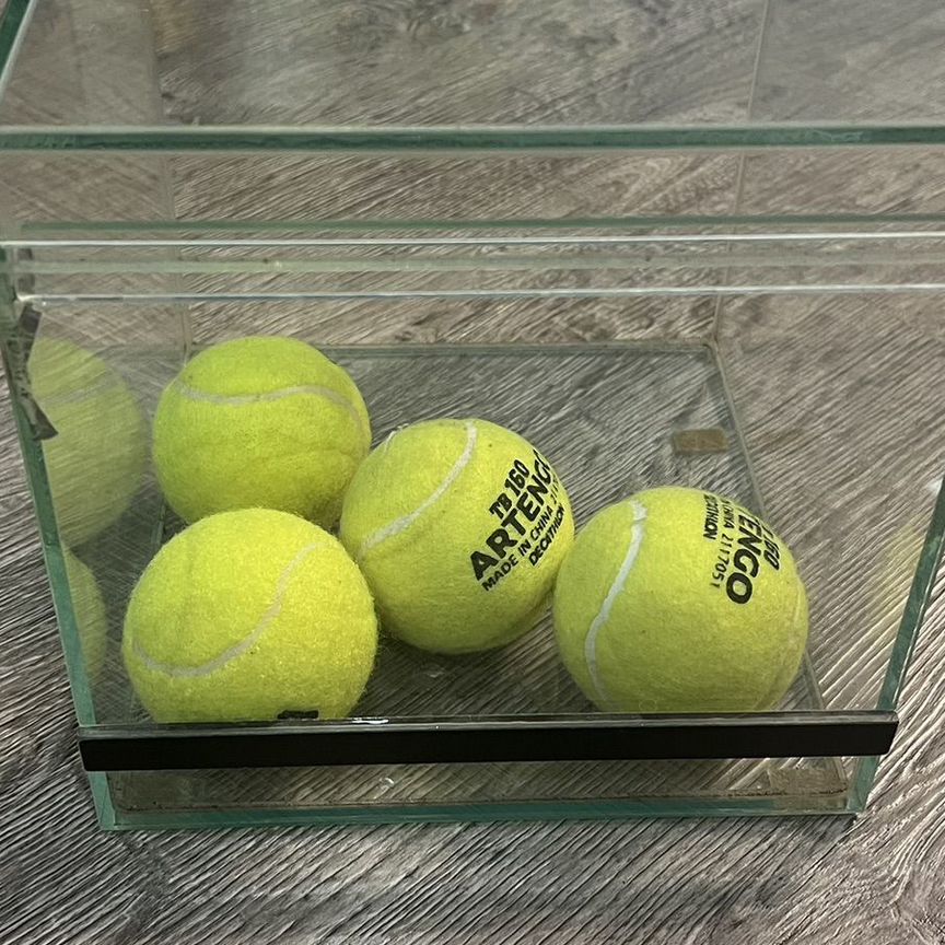 Террариум для паука