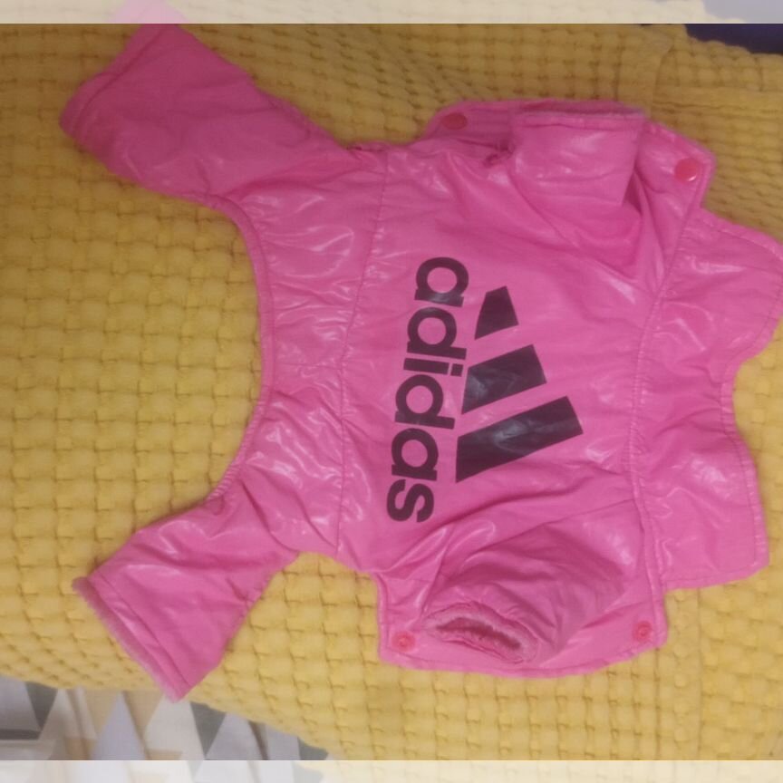 Одежда для собак мелких пород