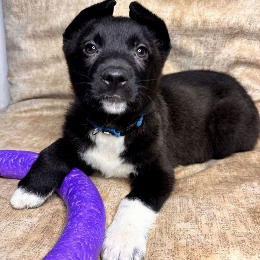 Милейшая малышка