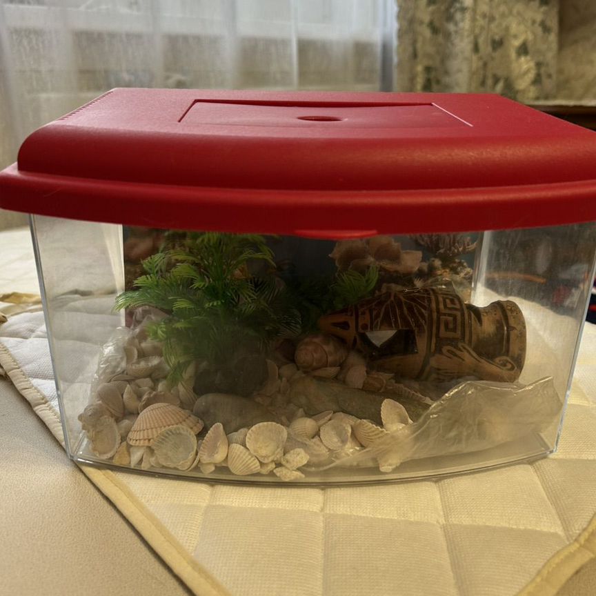 Переносной контейнер аквариум