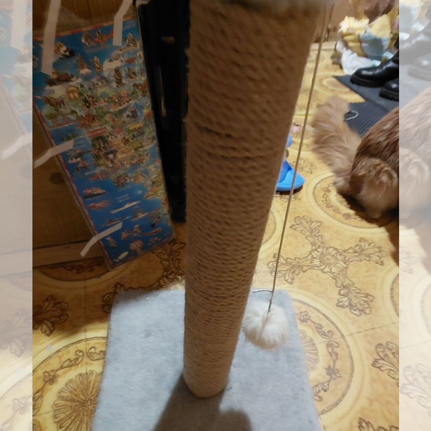 Когтеточка