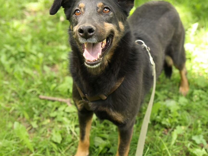 Подарите семью Берте