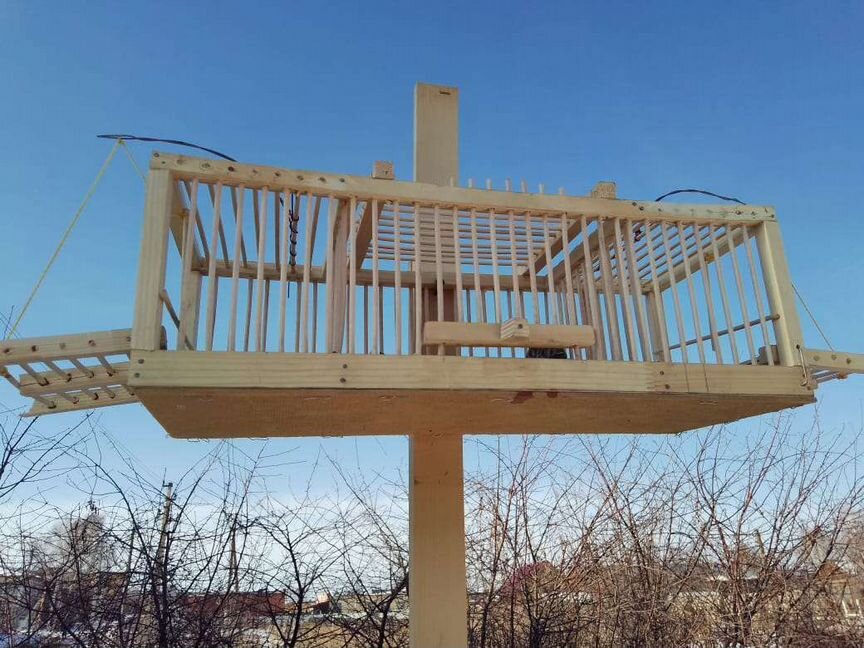 Ловушка для птиц