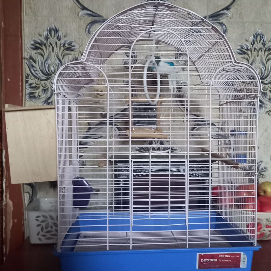 Волнистый попугай с клеткой