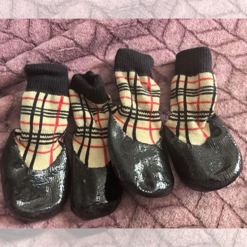 Носочки для собак