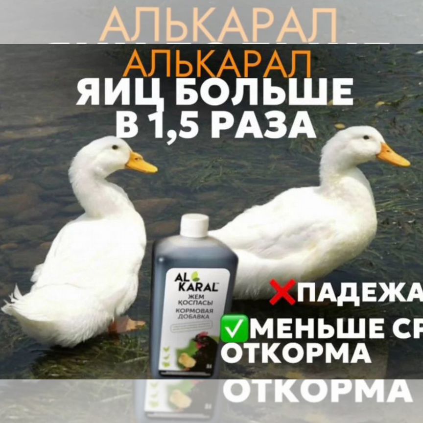 Добавка для уток и домашних птиц