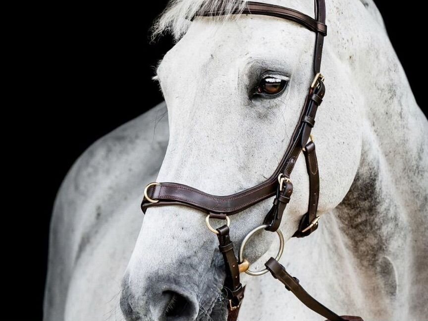 Rambo micklem/миклем уздечка