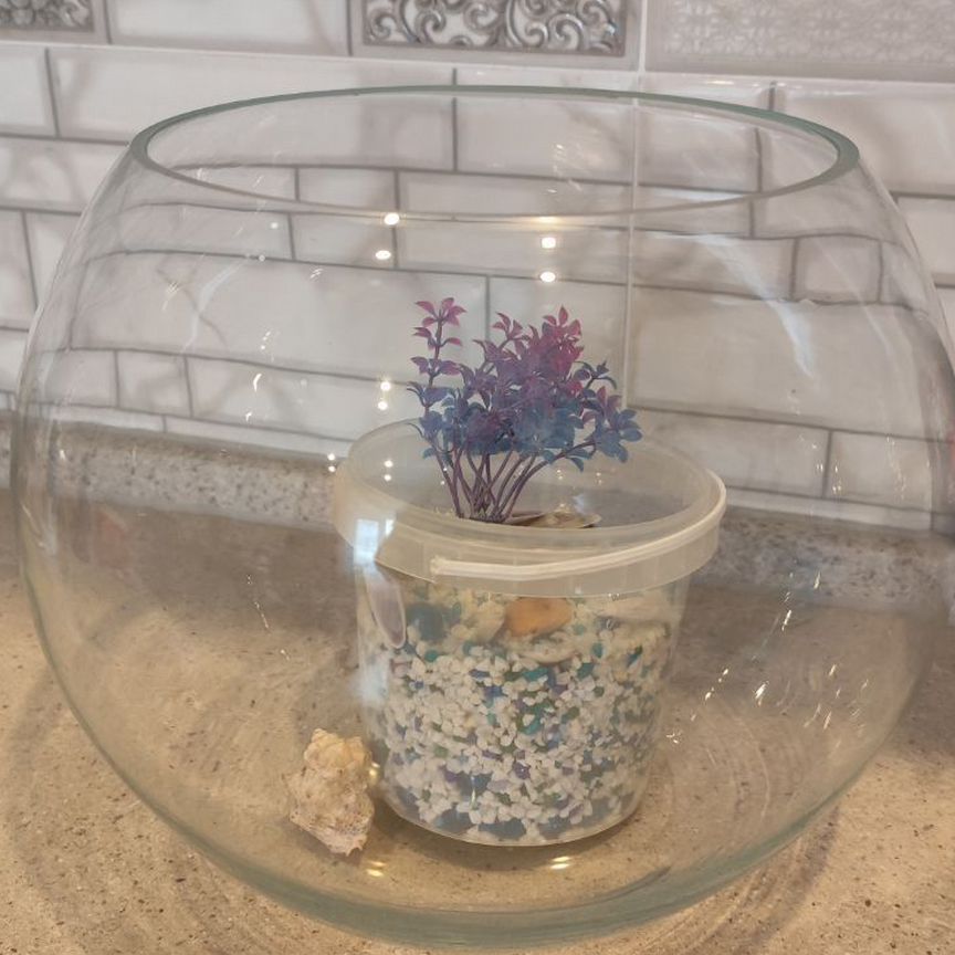 Аквариум круглый