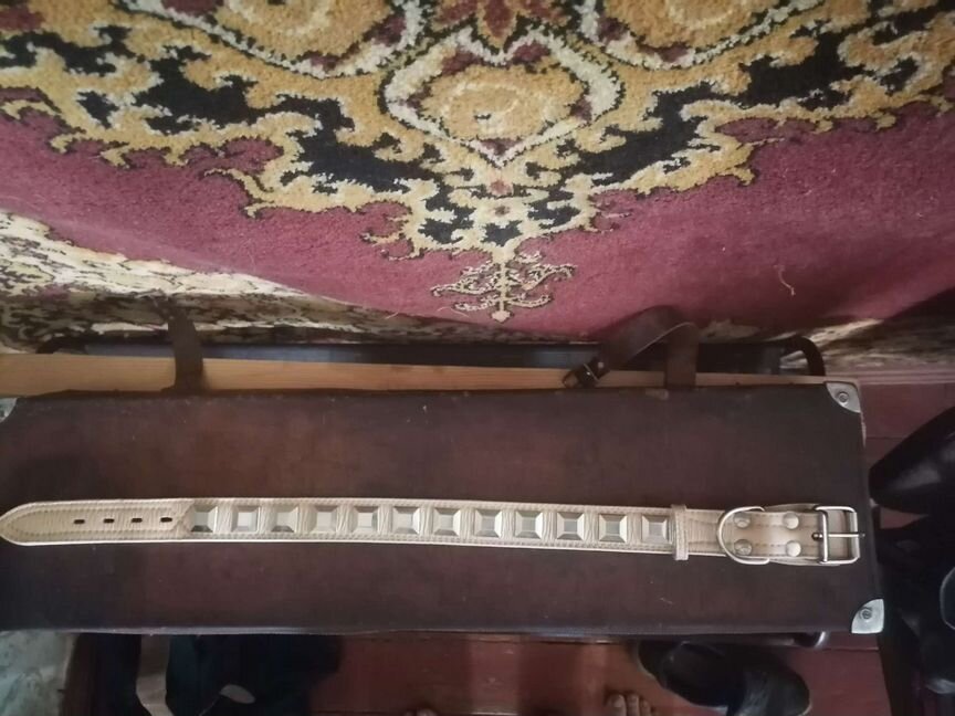 Ошейник для крупной собаки