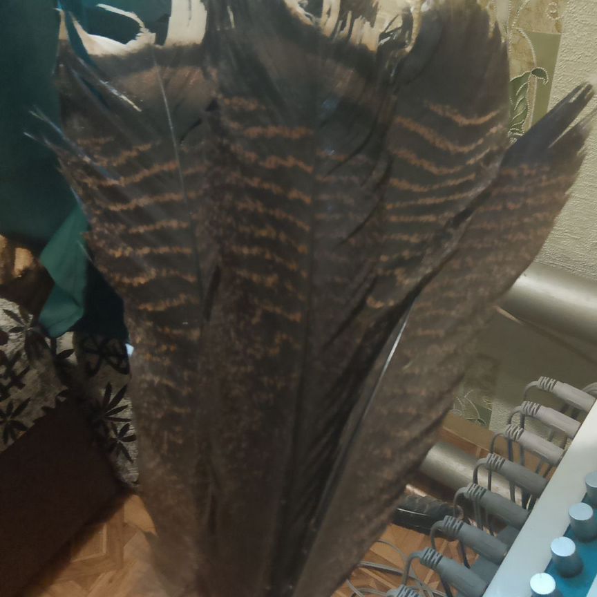 Перья с индюшек