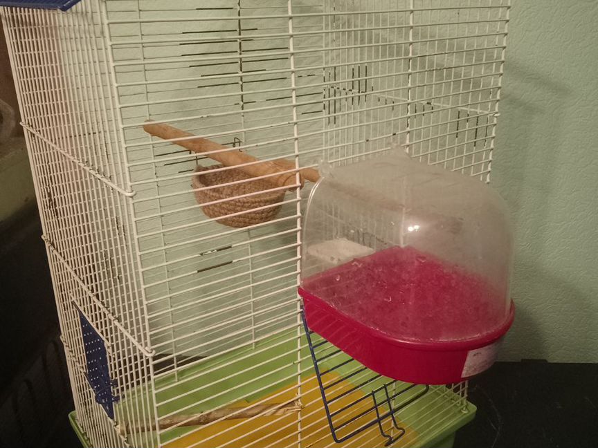 Птичья клетка