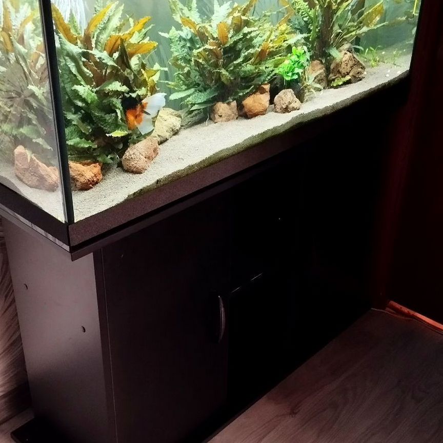 Аквариум 200 литров с тумбой