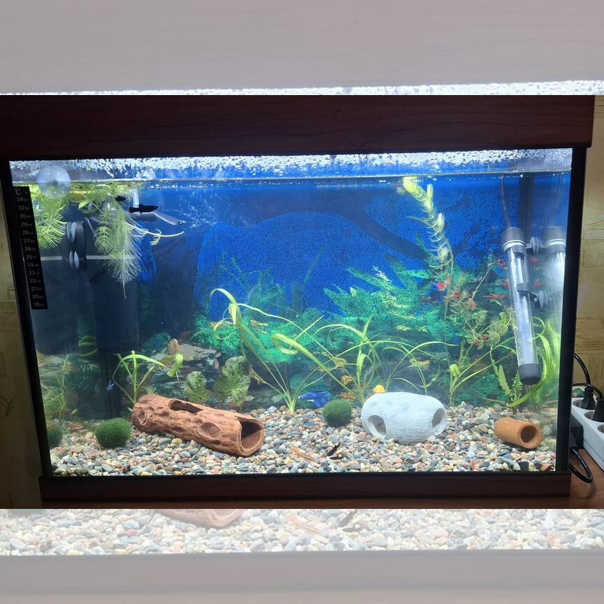 Запуск и чистка аквариума