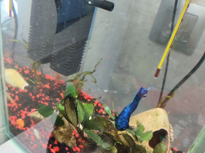 Аквариум куб 10 литров комплект