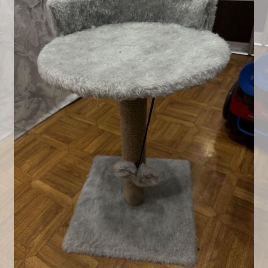 Когтеточка