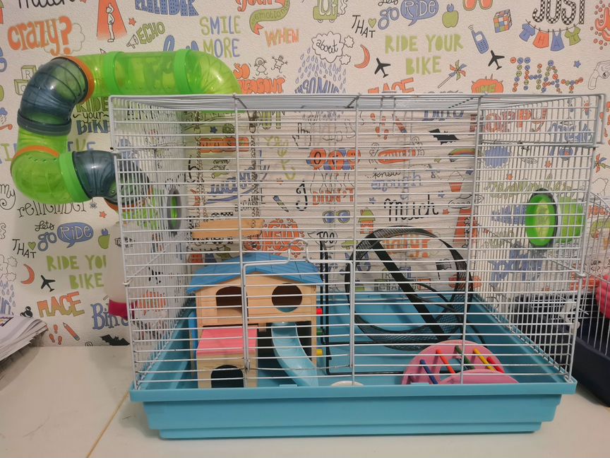 Большая клетка для хомяка,9 аксессуаров,переноска