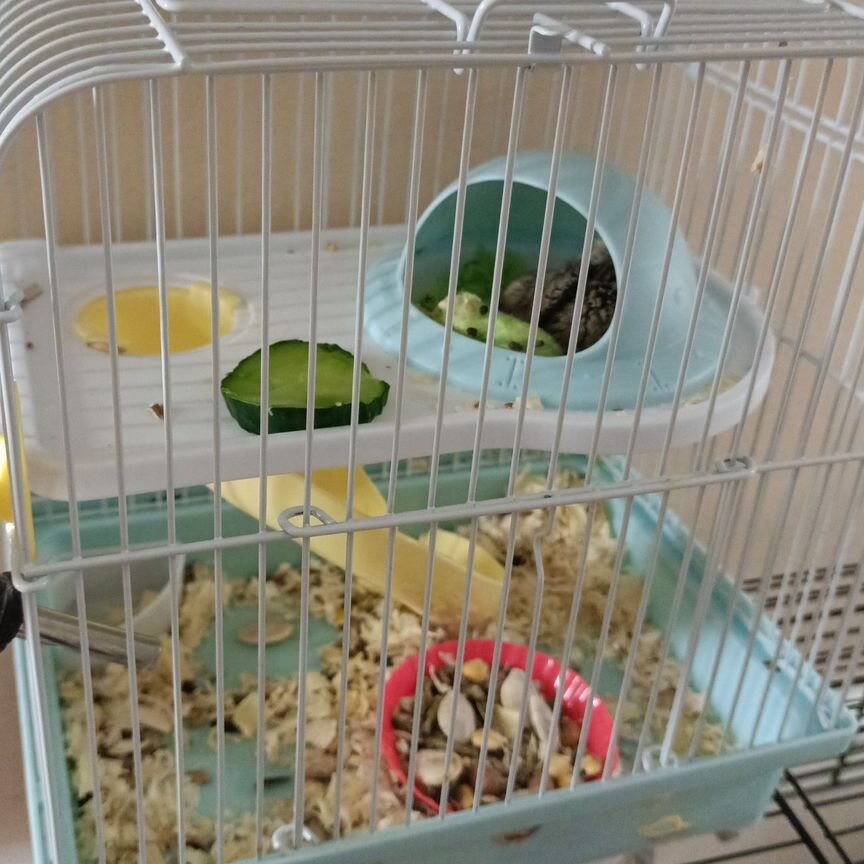 Клетка для грызунов бу