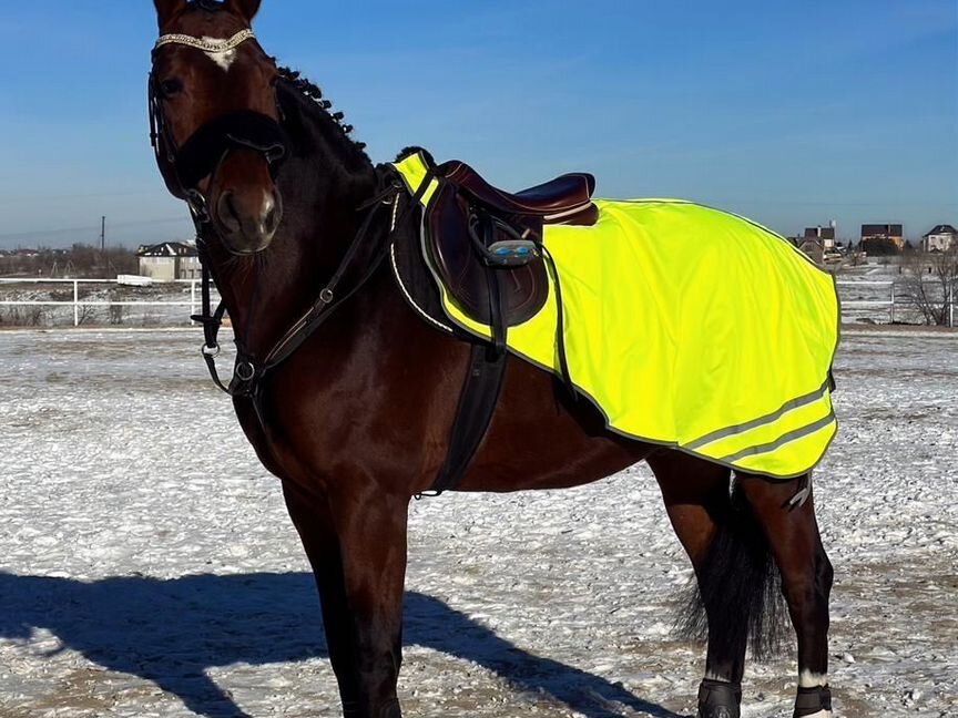 Светоотражающая полупопона