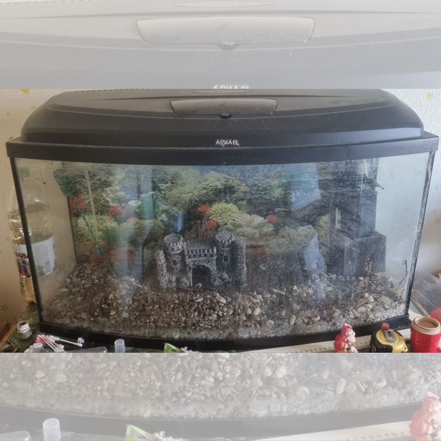 Аквариум с оборудованием