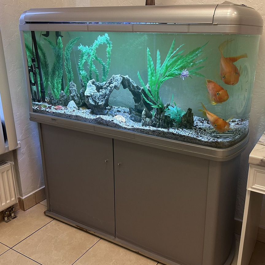Аквариум под ключ