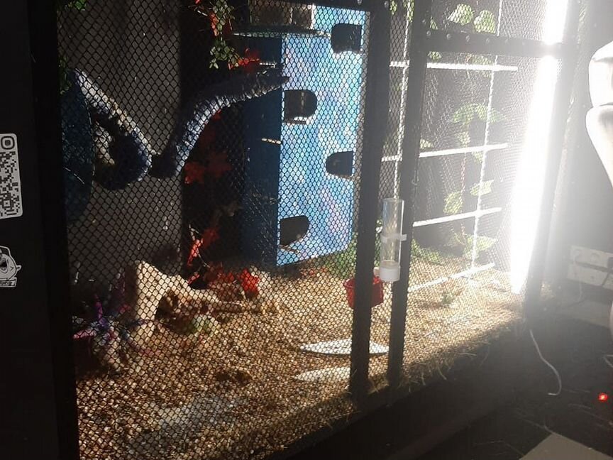 Клетка вольер для птиц