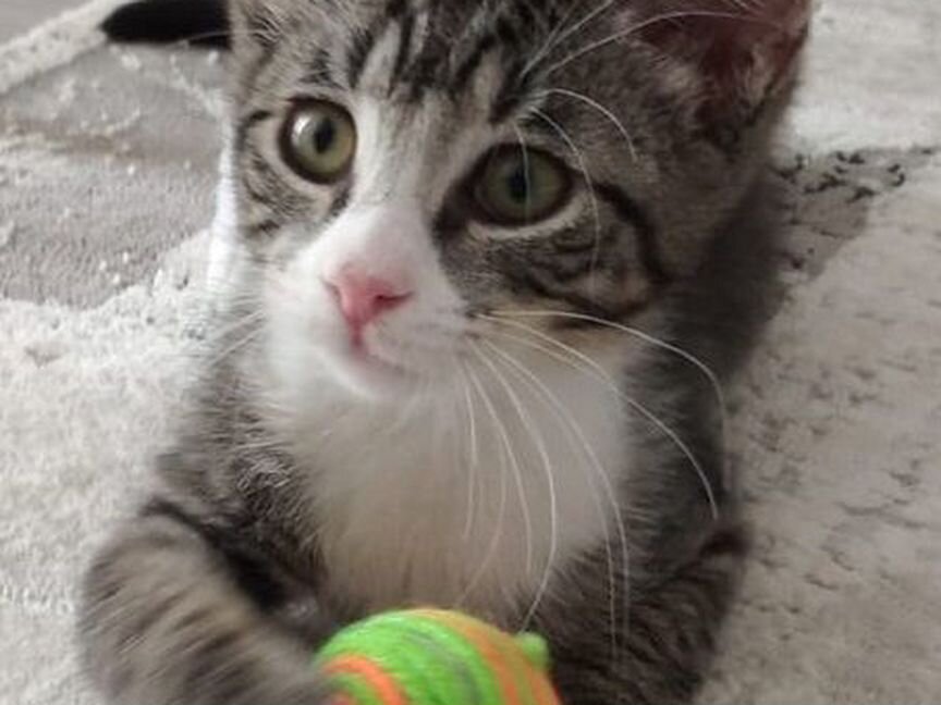 На вид простенькая но характер бриллиант